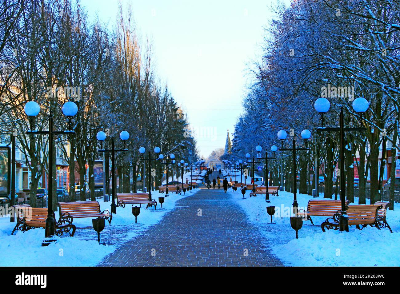 Empty bench trees in park bench hi-res stock photography and images - Alamy