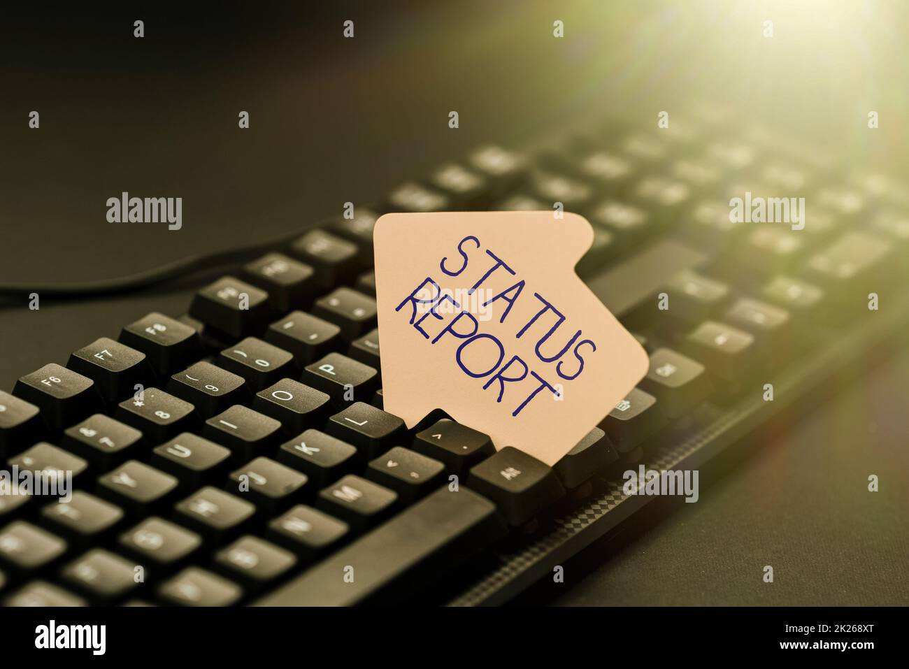 Conceptual caption Status Report. Business showcase Update Summary of ...