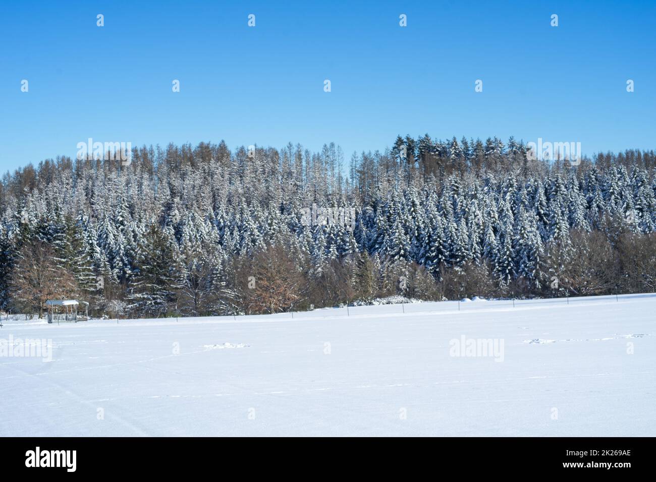 Winter landscape near the german village called Bromskirchen Stock ...