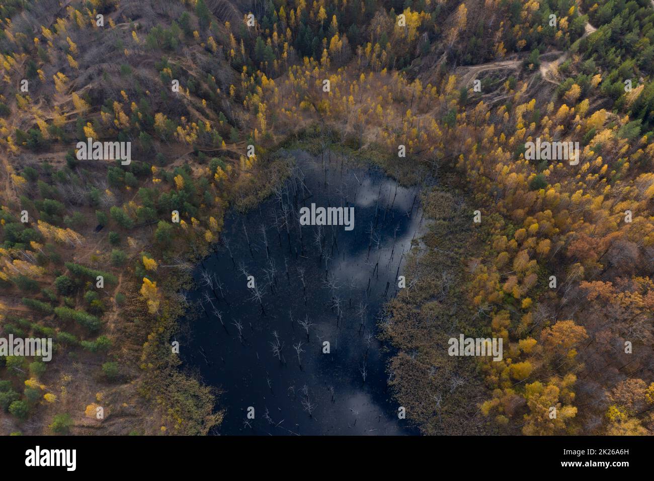 Forest of the lakes hi-res stock photography and images - Alamy