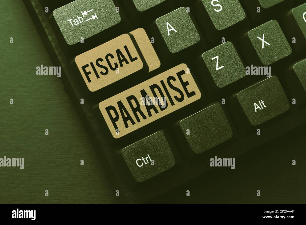 Sign displaying Fiscal Paradise. Business idea The waste of public ...