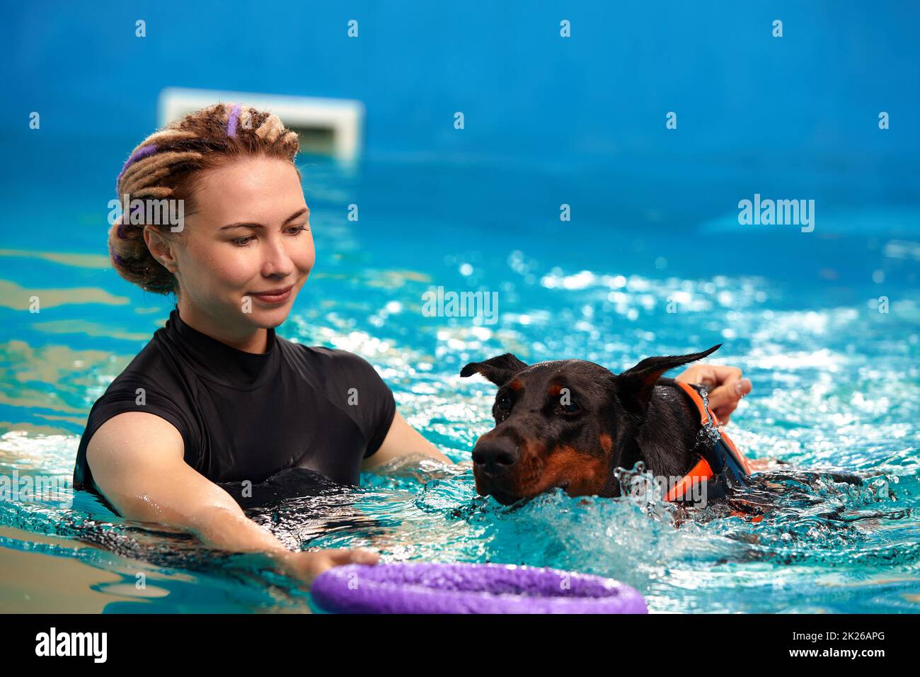 Dog in life jacket swim in the swimming pool with coach. Pet ...