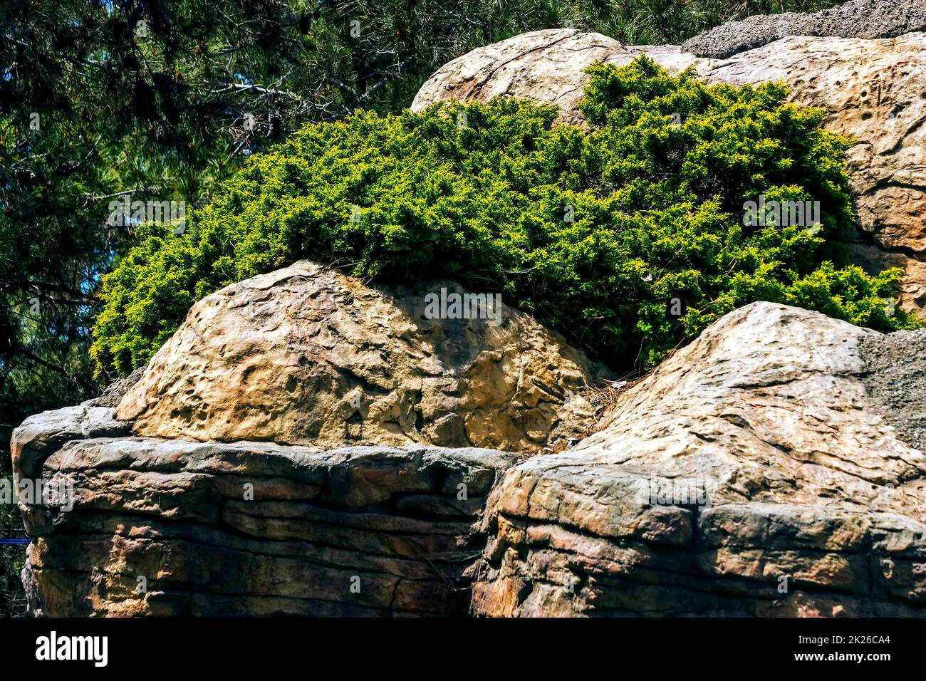 Moss covered rocks Stock Photo - Alamy