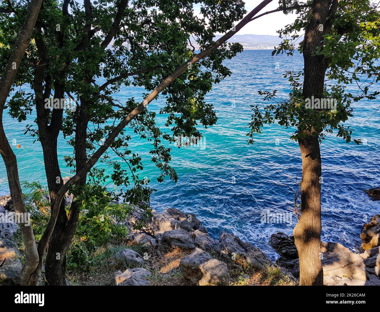Leaved trees and a blue sea in a background Stock Photo - Alamy