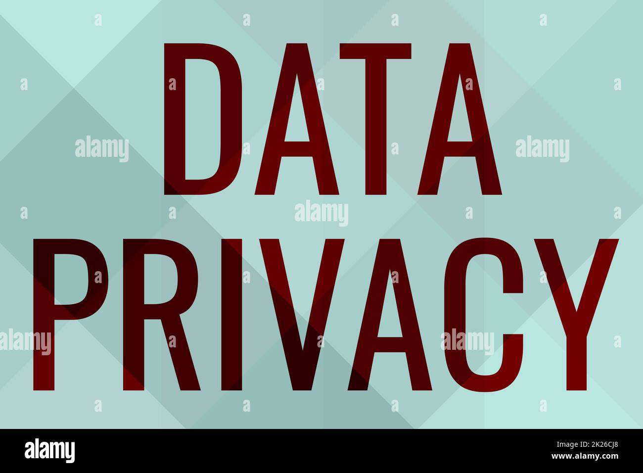 Text caption presenting Data Privacy. Conceptual photo internet ...