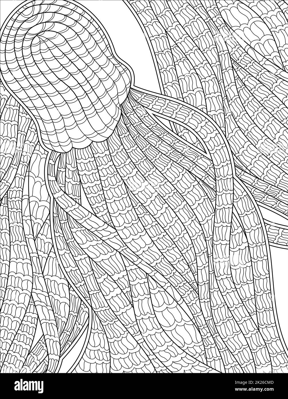 Jellyfish Line Drawing With Long Legs Coloring Book idea Stock Photo ...