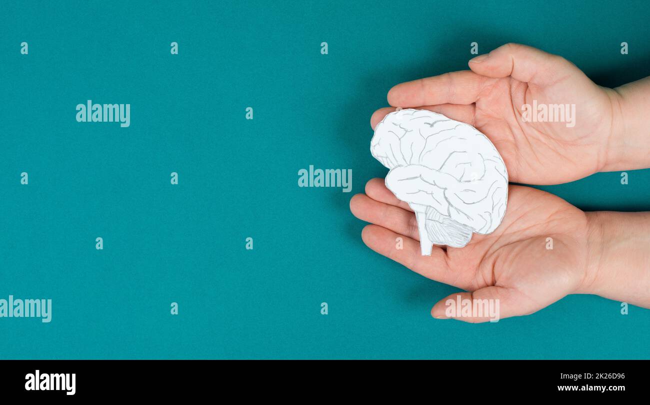 Holding a brain in the hands, Parkinson disease, Alzheimer awardness ...