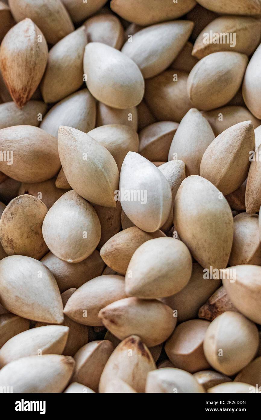 Raw Ginkgo Biloba natural seeds texture Thai food Bangkok Thailand ...