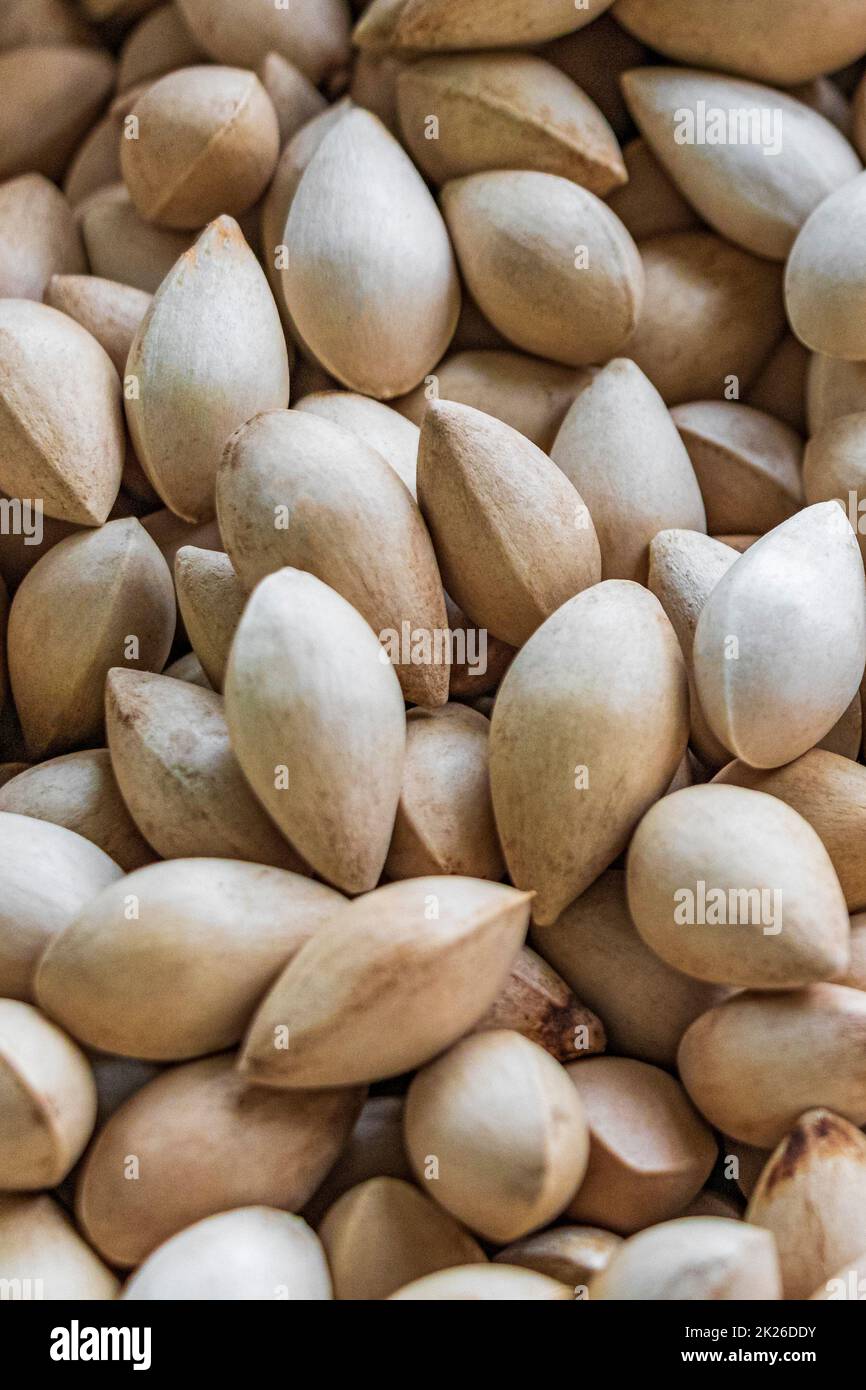 Raw Ginkgo Biloba natural seeds texture Thai food Bangkok Thailand ...