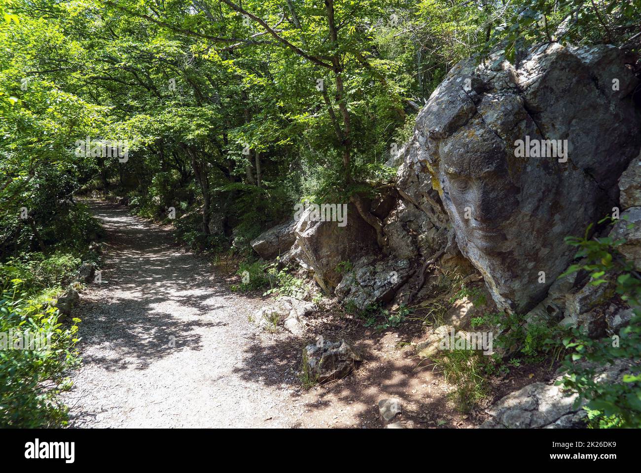 Large path hi-res stock photography and images - Alamy