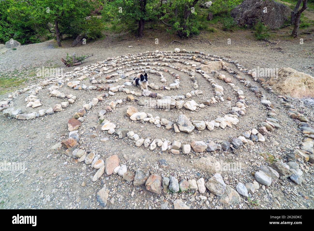 A border collie dog lies in the middle of a stone maze Stock Photo - Alamy
