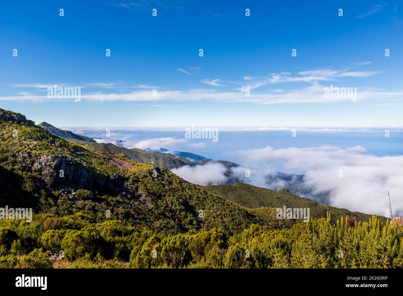 Achada do Teixeira on the island of Madeira Stock Photo - Alamy