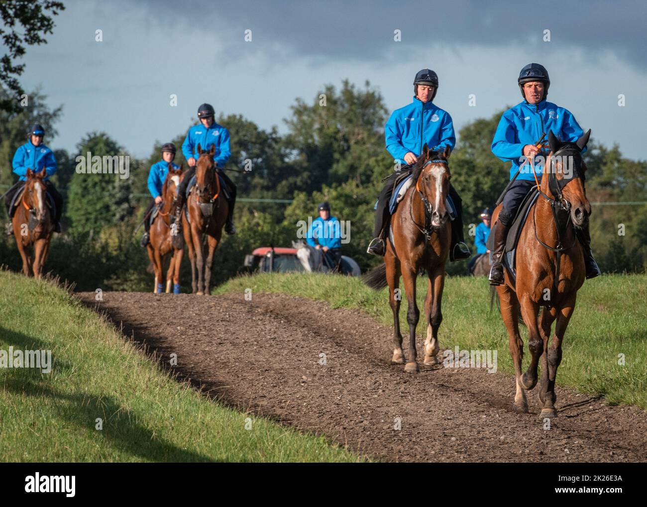 Donald mccain horse hi-res stock photography and images - Alamy