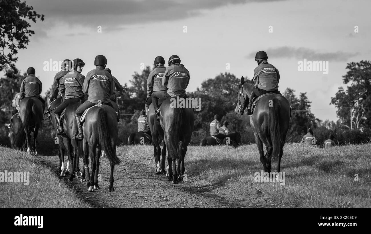 Donald McCain Racing Stock Photo - Alamy