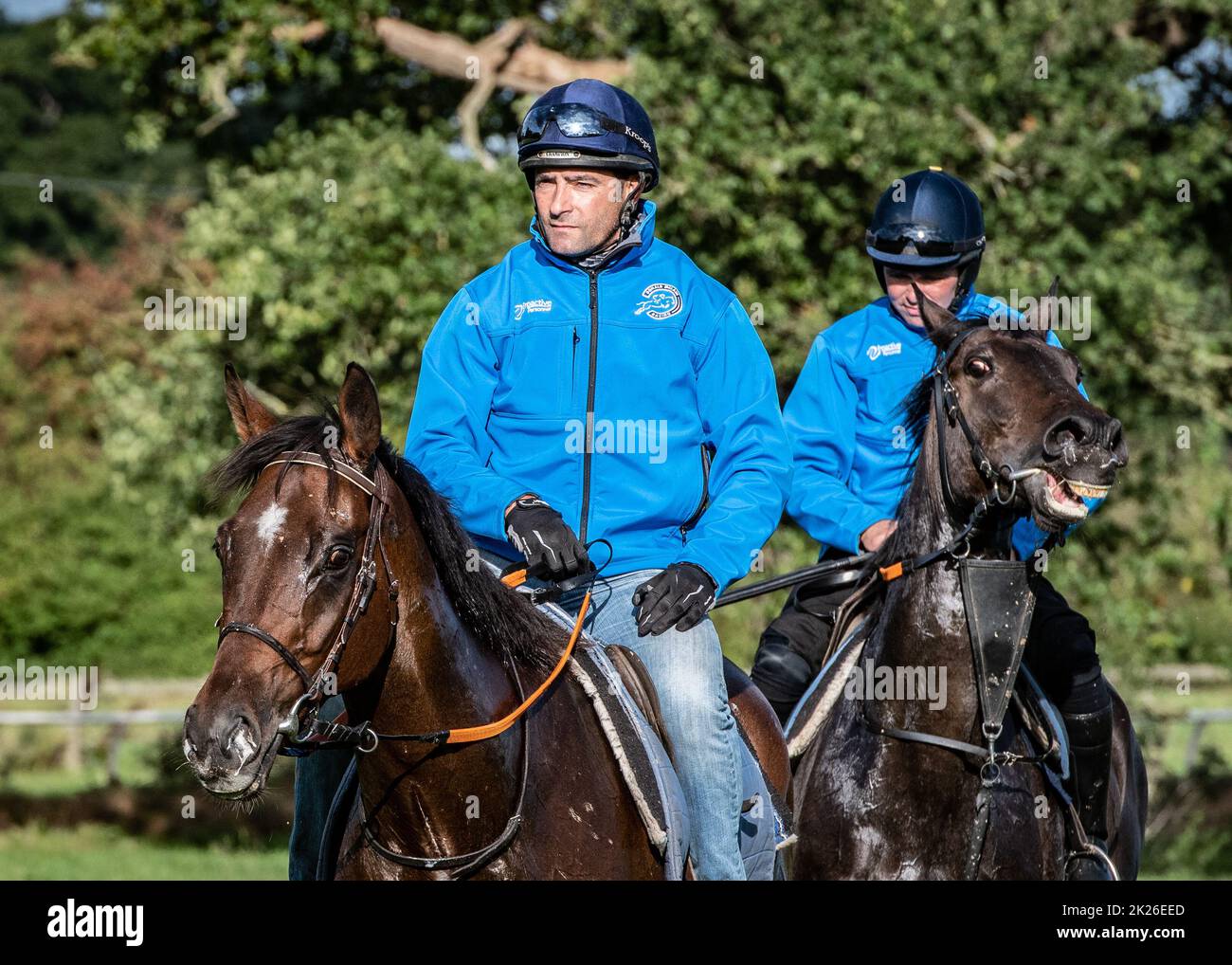 Donald mccain horse hi-res stock photography and images - Alamy