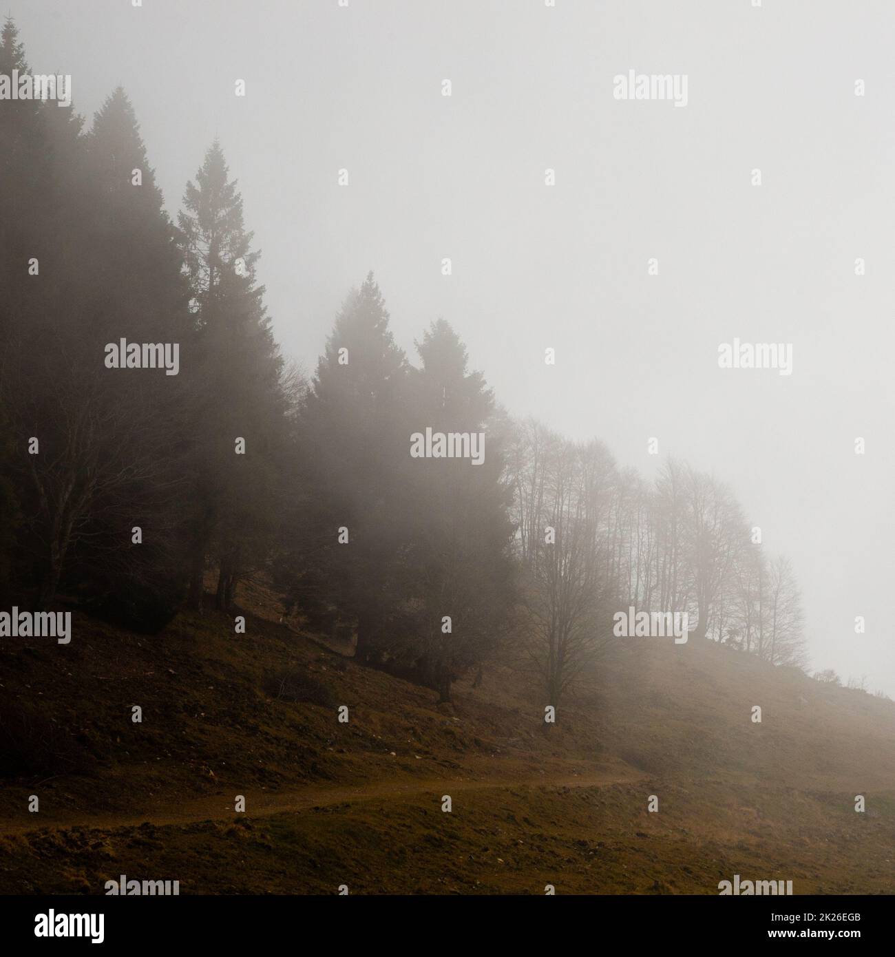 Asiago plateau hi-res stock photography and images - Alamy