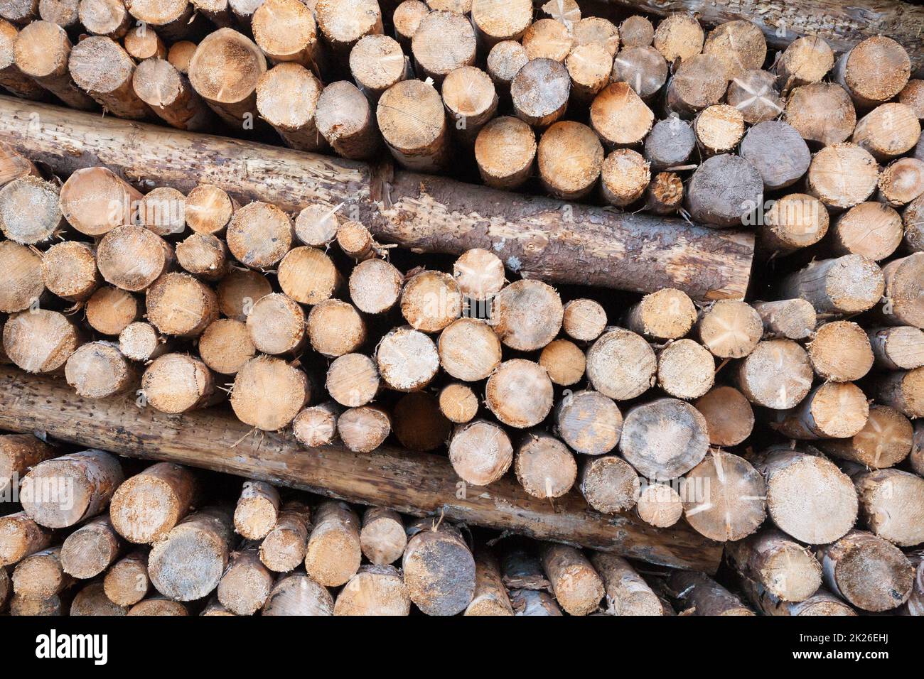 Pine logs hi-res stock photography and images - Alamy