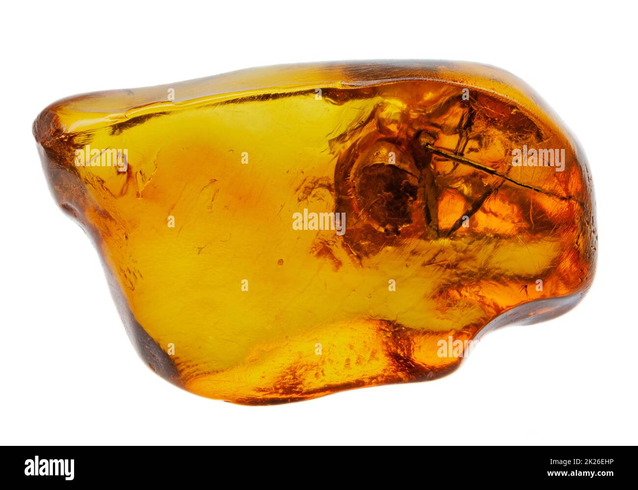 Spider inclusion in natural amber. Macro photography Stock Photo - Alamy