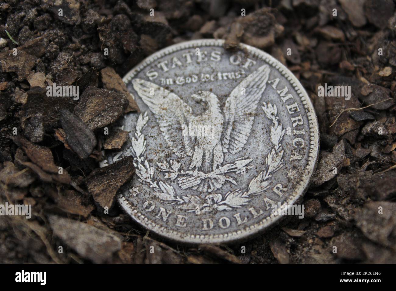 1882 Morgan Silver Dollar outside on dirt Close up Stock Photo - Alamy