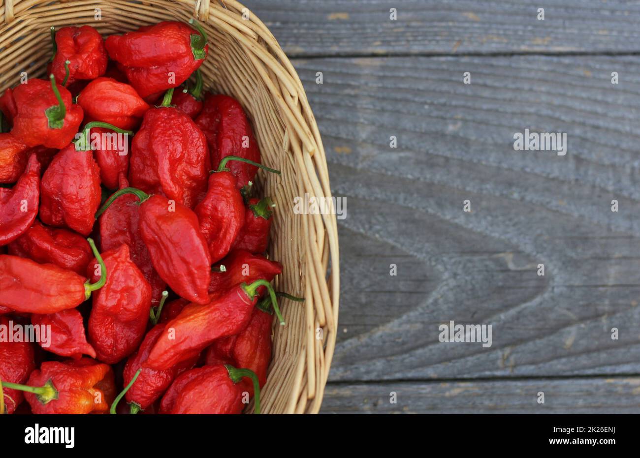 Basket of Fresh Bhut Jolokia Ghost Chili Peppers at rural farmers ...