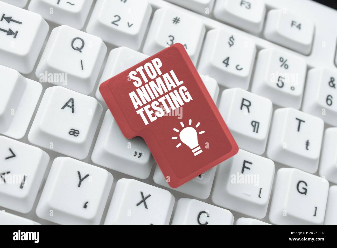 Hand writing sign Stop Animal Testing. Business overview put an end on ...