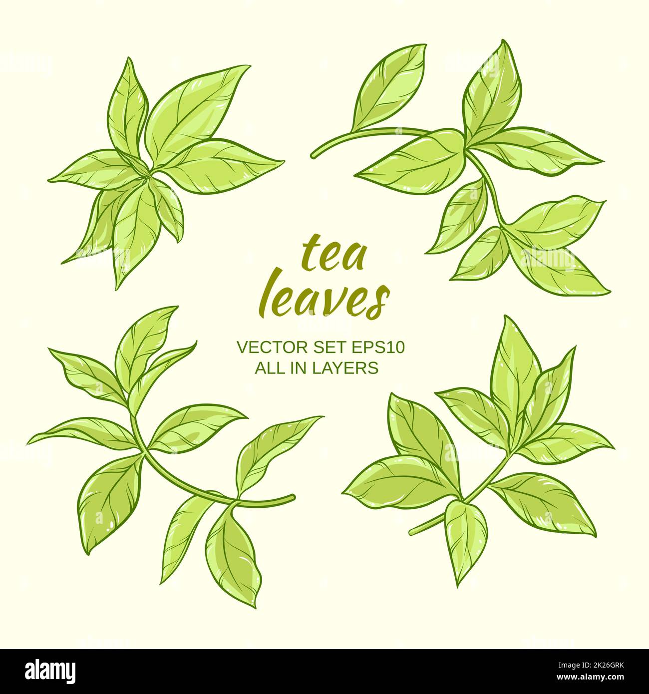 tea leaves set Stock Photo - Alamy