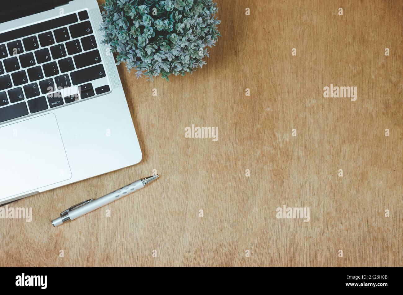 Top view flat lay computer laptop and pen and flower on wood table.Copy ...