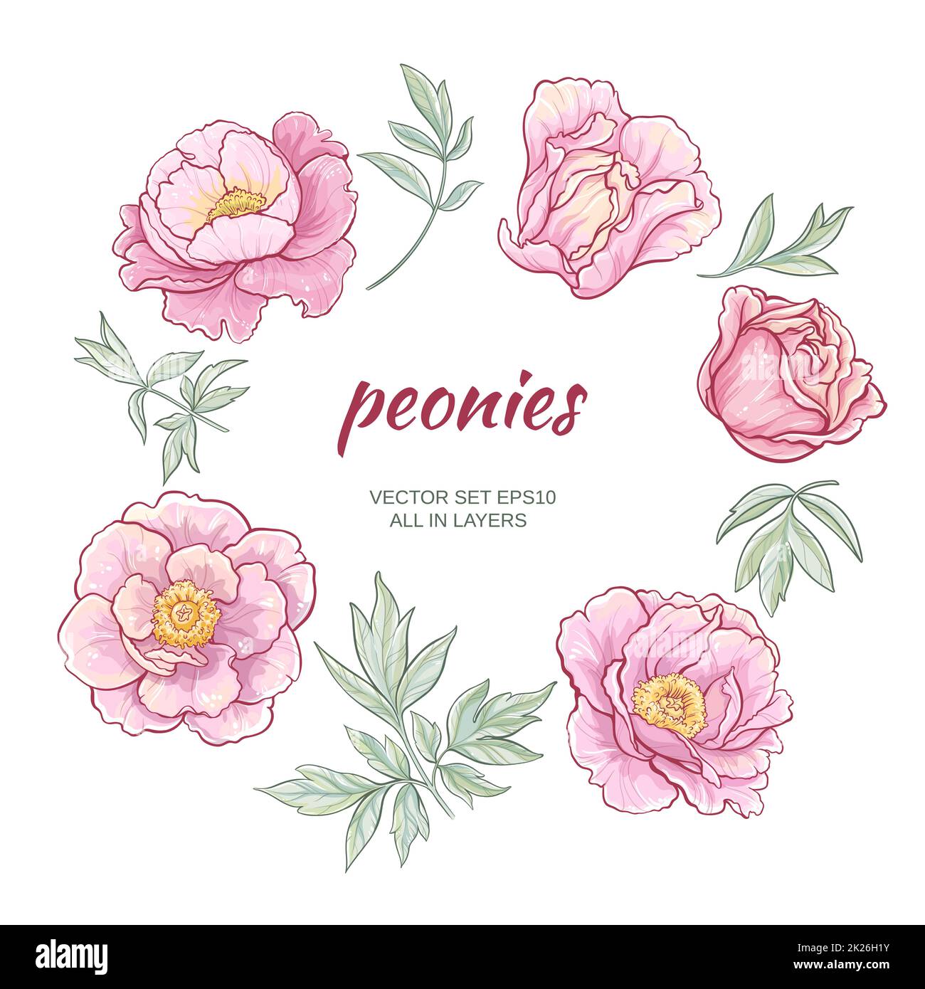 Botany peonies Cut Out Stock Images & Pictures - Alamy