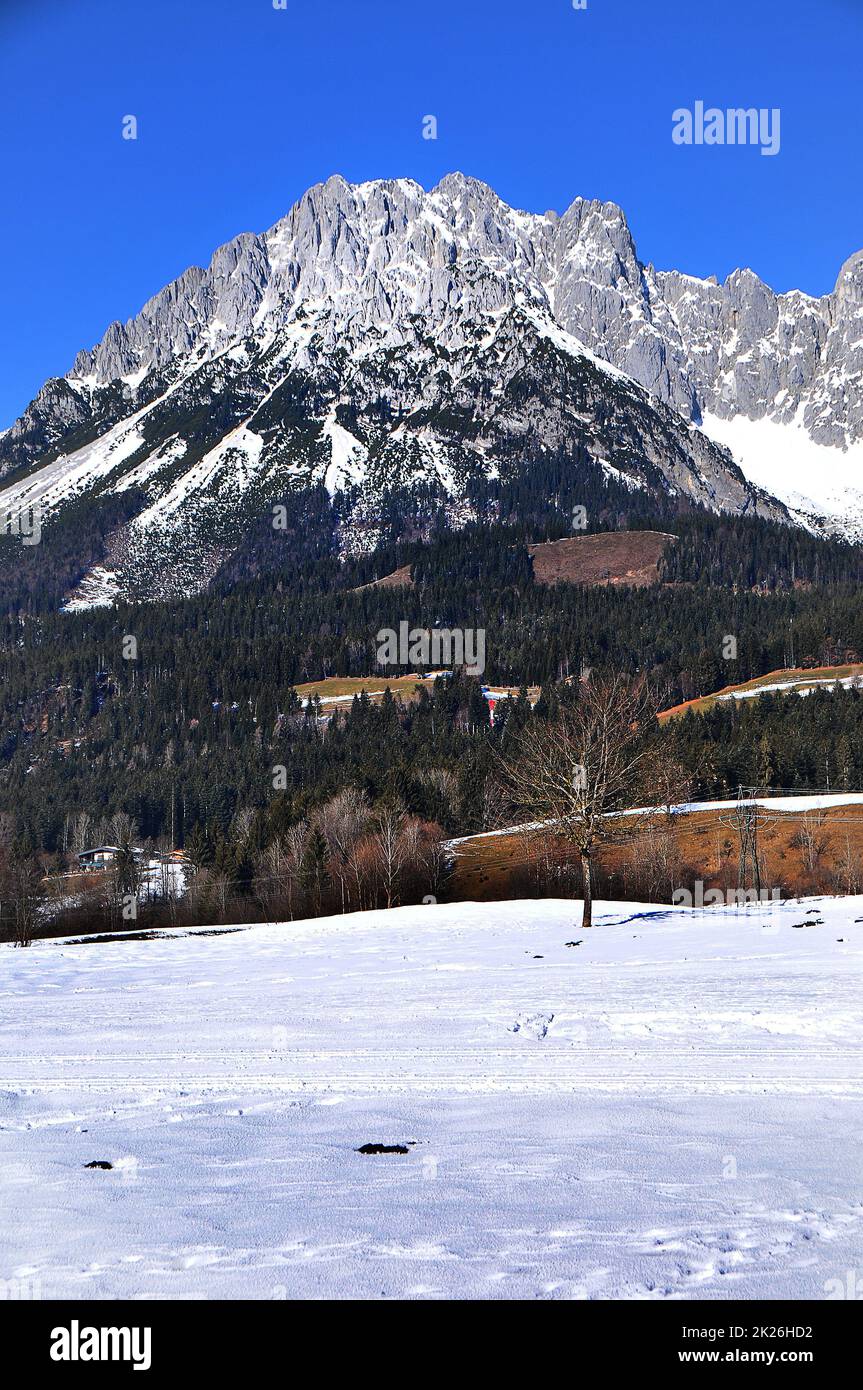 Wild Emperor in Austria Stock Photo - Alamy