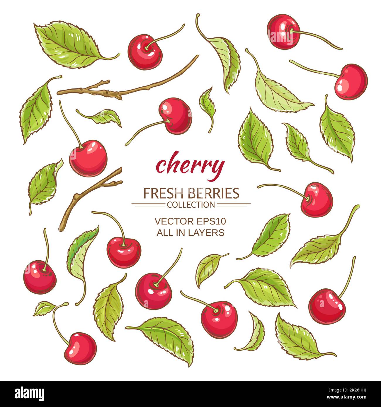 cherry vector set Stock Photo - Alamy