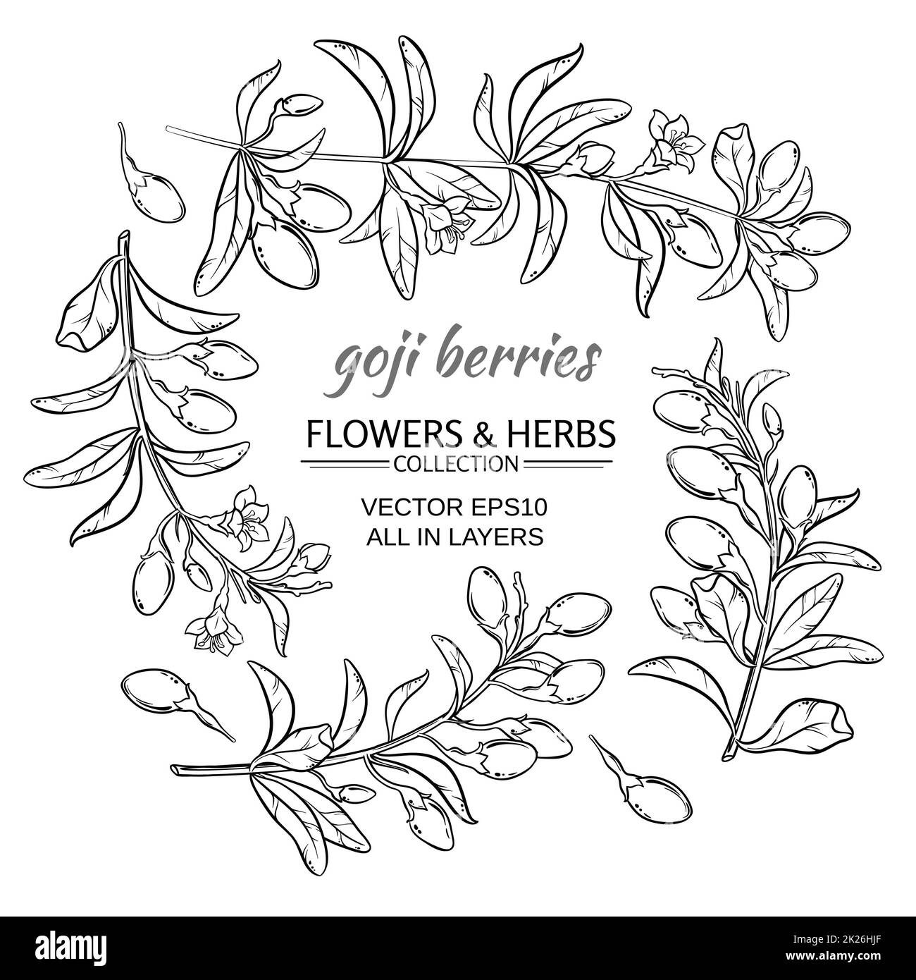 Berry food Black and White Stock Photos & Images - Alamy