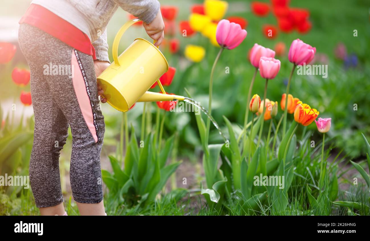 Child watering flowers in the garden in spring Stock Photo - Alamy