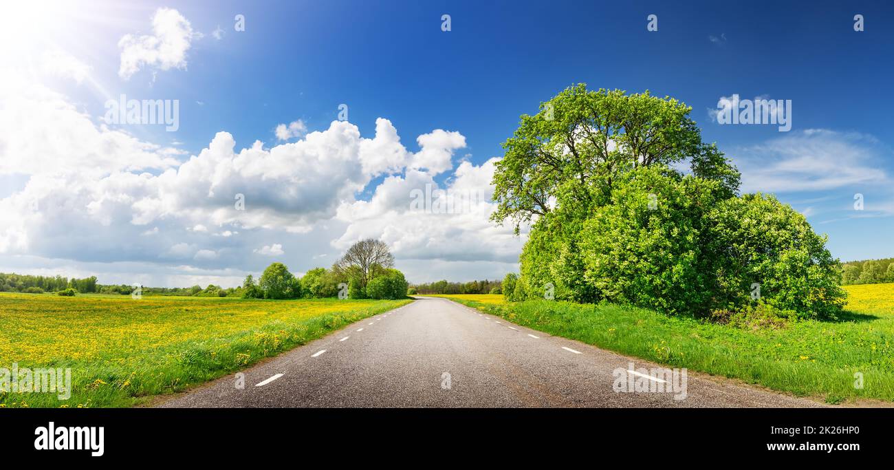 View of the asphalt road with beautiful trees and with field of fresh ...