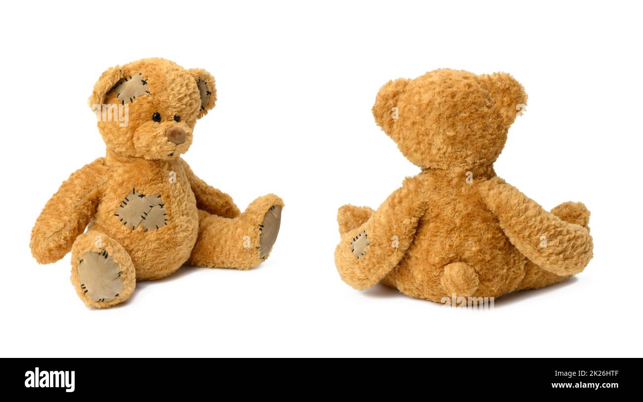 cute brown teddy bear isolated on white background, sitting back and ...