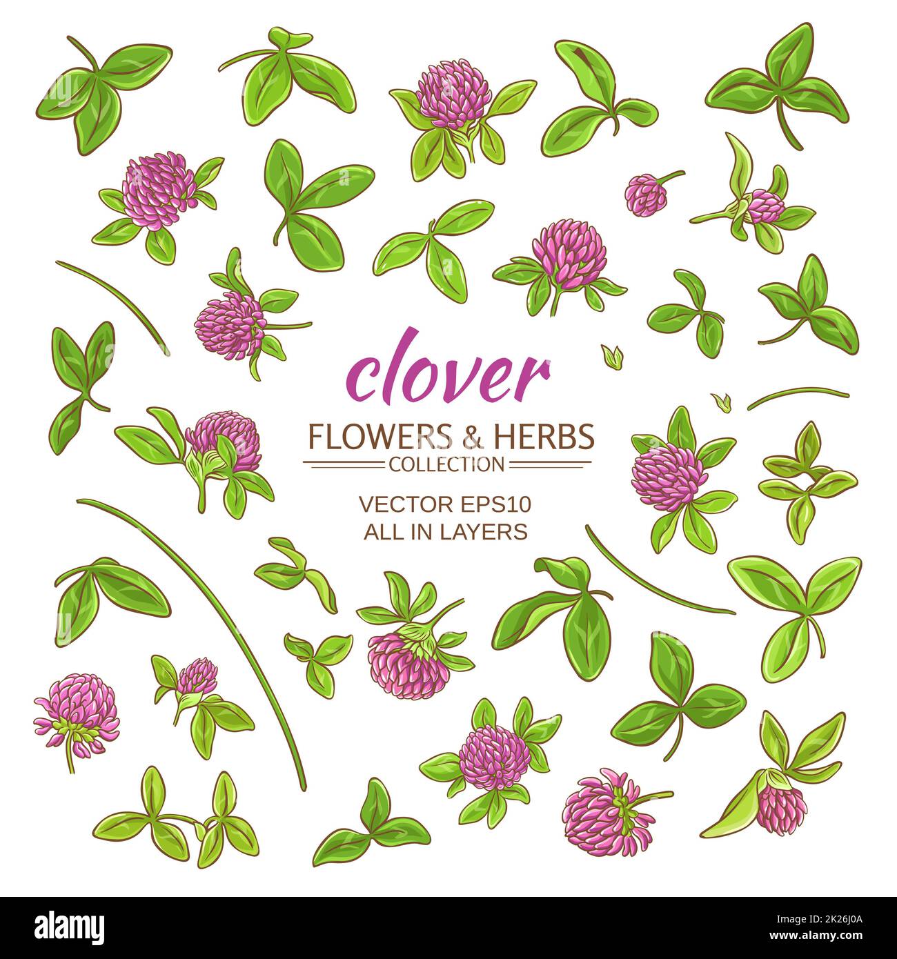 clover vector set Stock Photo - Alamy