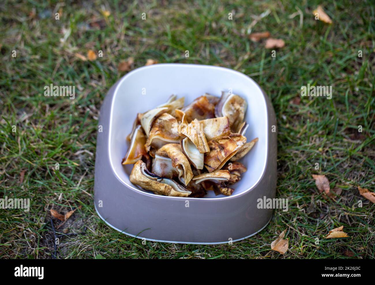 Grilled pork ears in a restaurant with a dog menu Stock Photo - Alamy