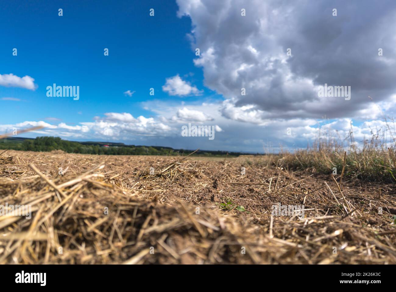 Worked and parched arable land due to a prolonged dry season in summer ...