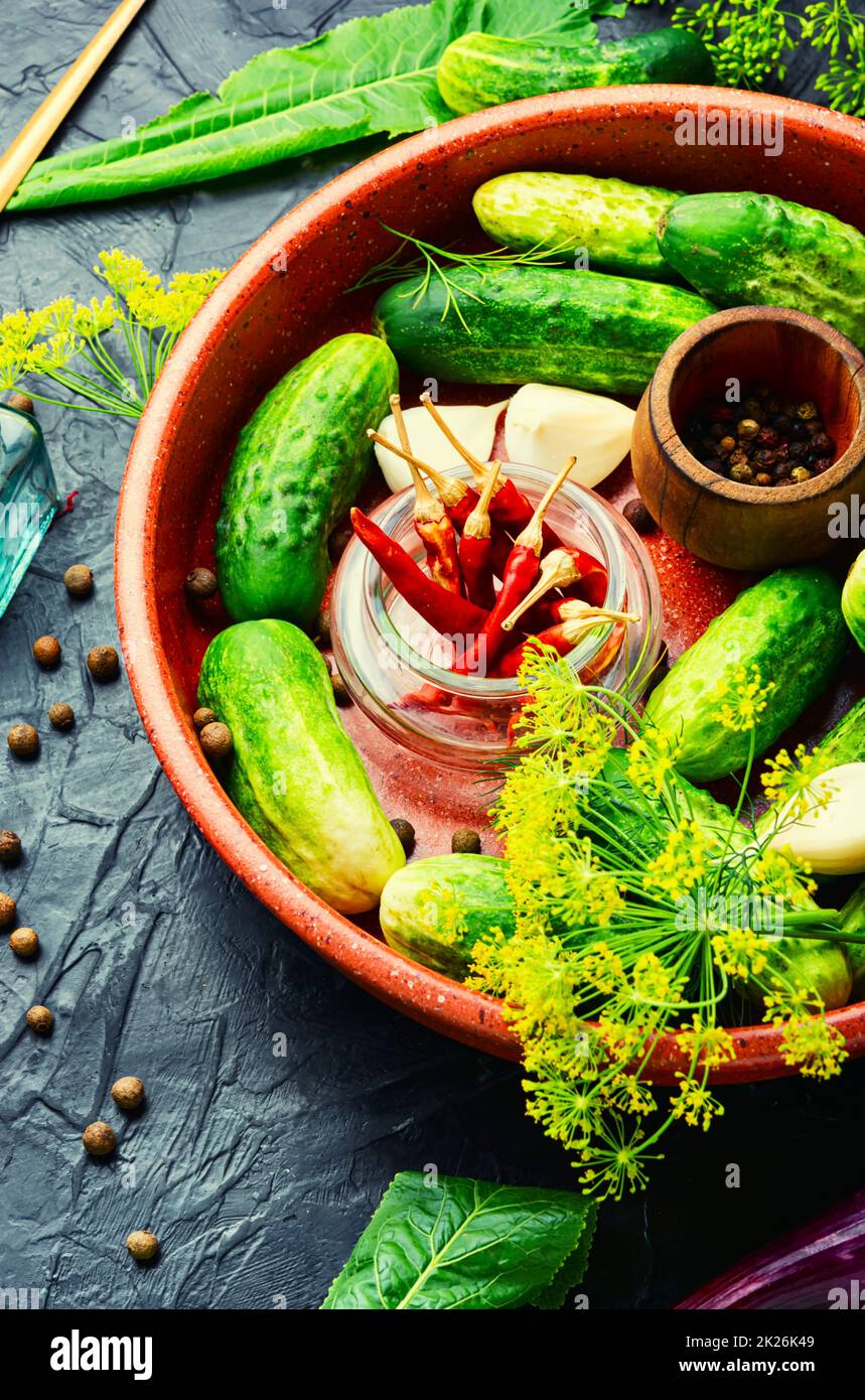 Fresh cucumbers and ingredients for cooking pickled cucumbers Stock ...