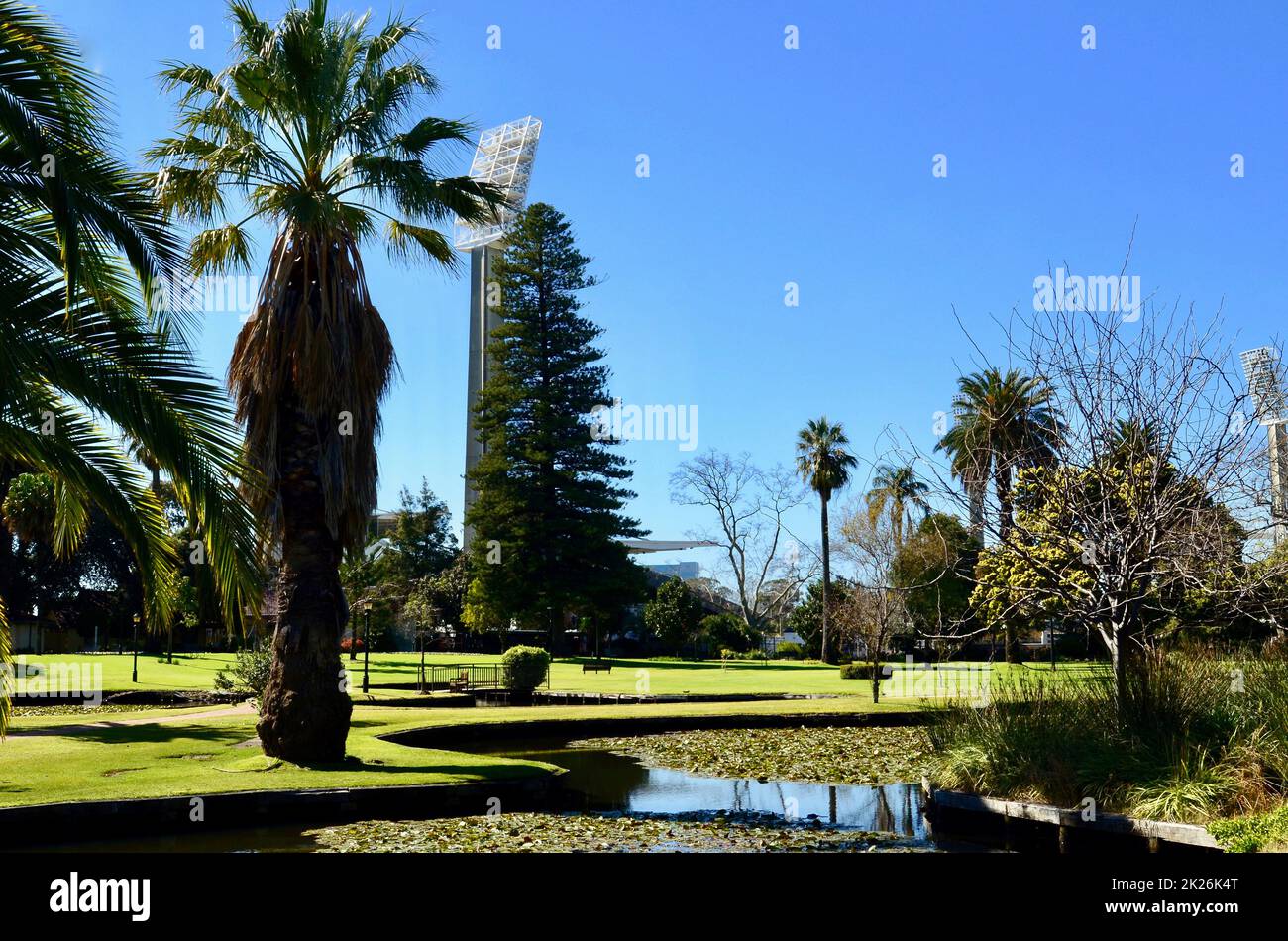 A view at Queen's Park in Perth, Western Australia Stock Photo - Alamy