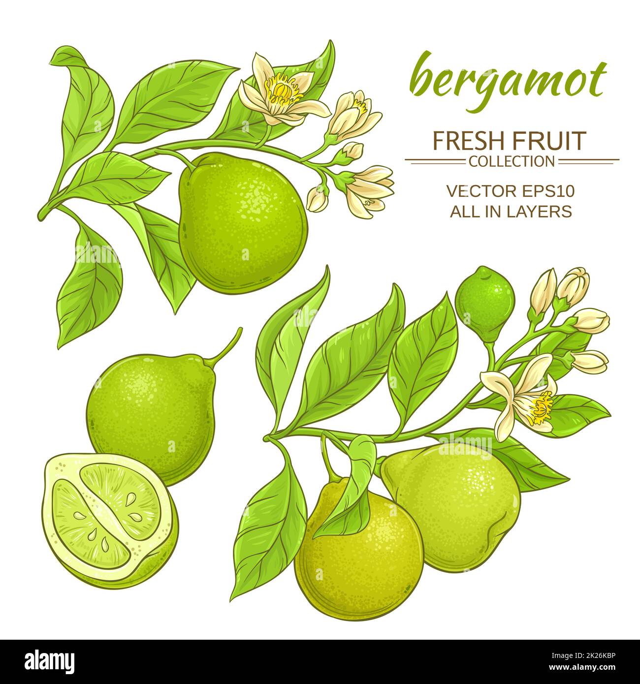 Vector set thai cuisine Cut Out Stock Images & Pictures - Alamy