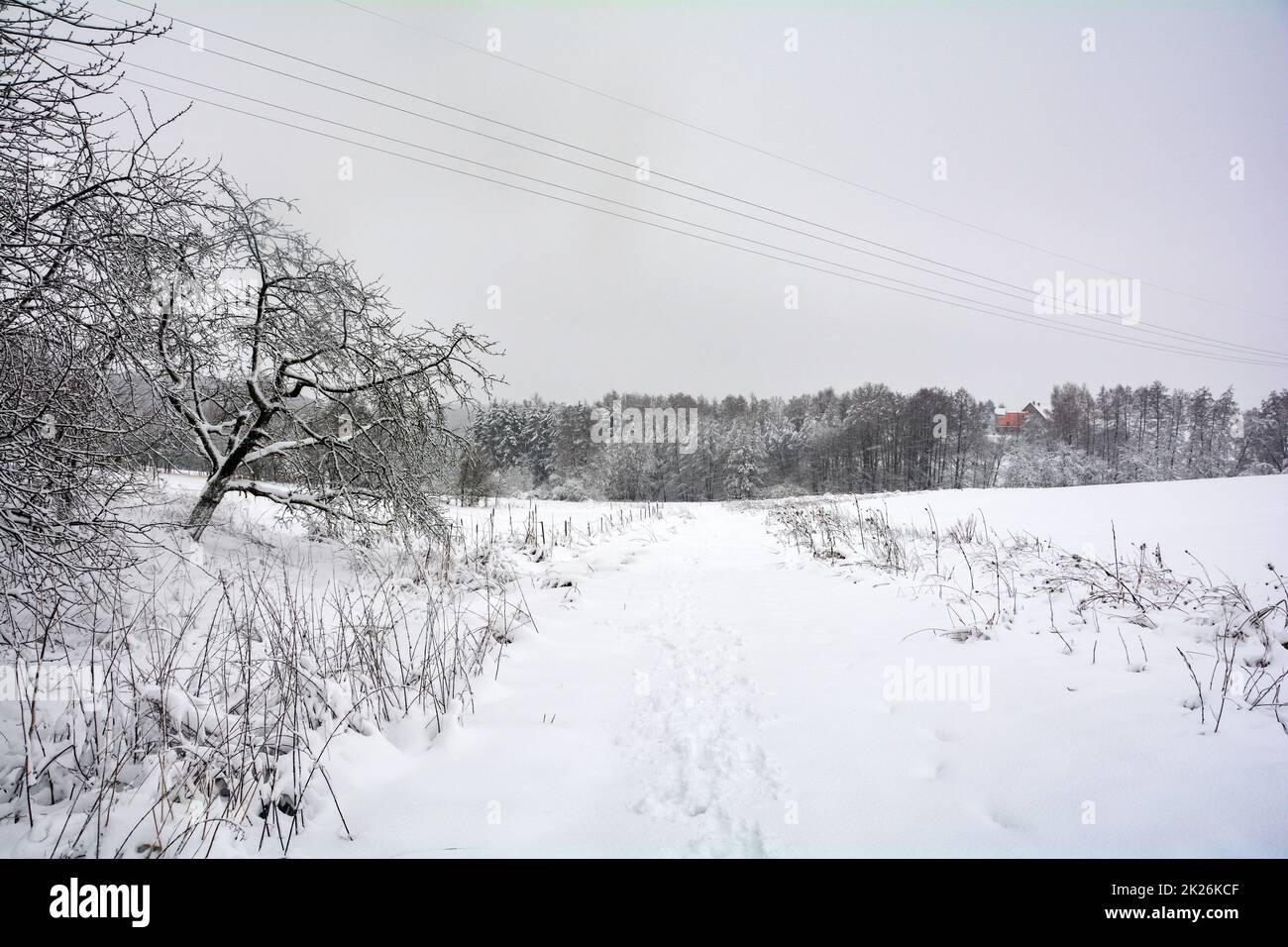 Winter landscape with a lot of snow and trees Stock Photo - Alamy