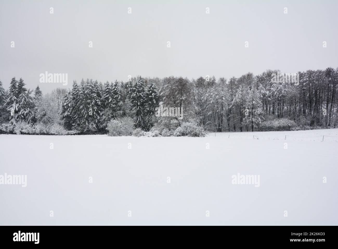Winter landscape with a lot of snow and a row of trees Stock Photo - Alamy