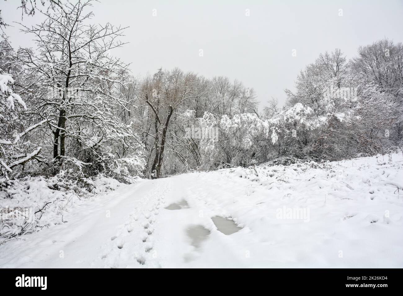 Winter landscape without snow hi-res stock photography and images - Alamy