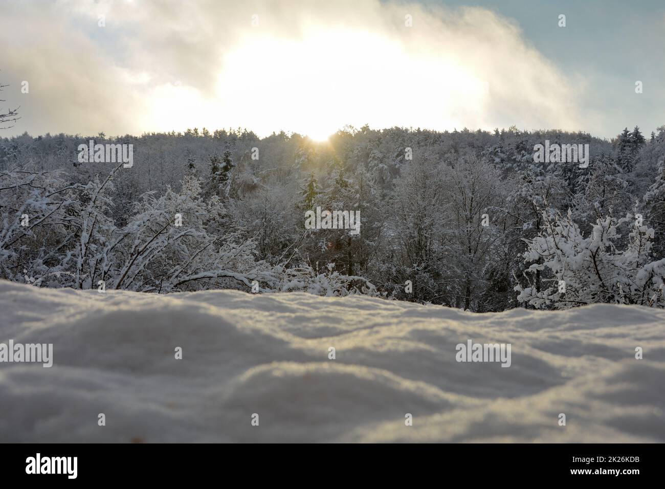 Winter sun behind trees hi-res stock photography and images - Alamy