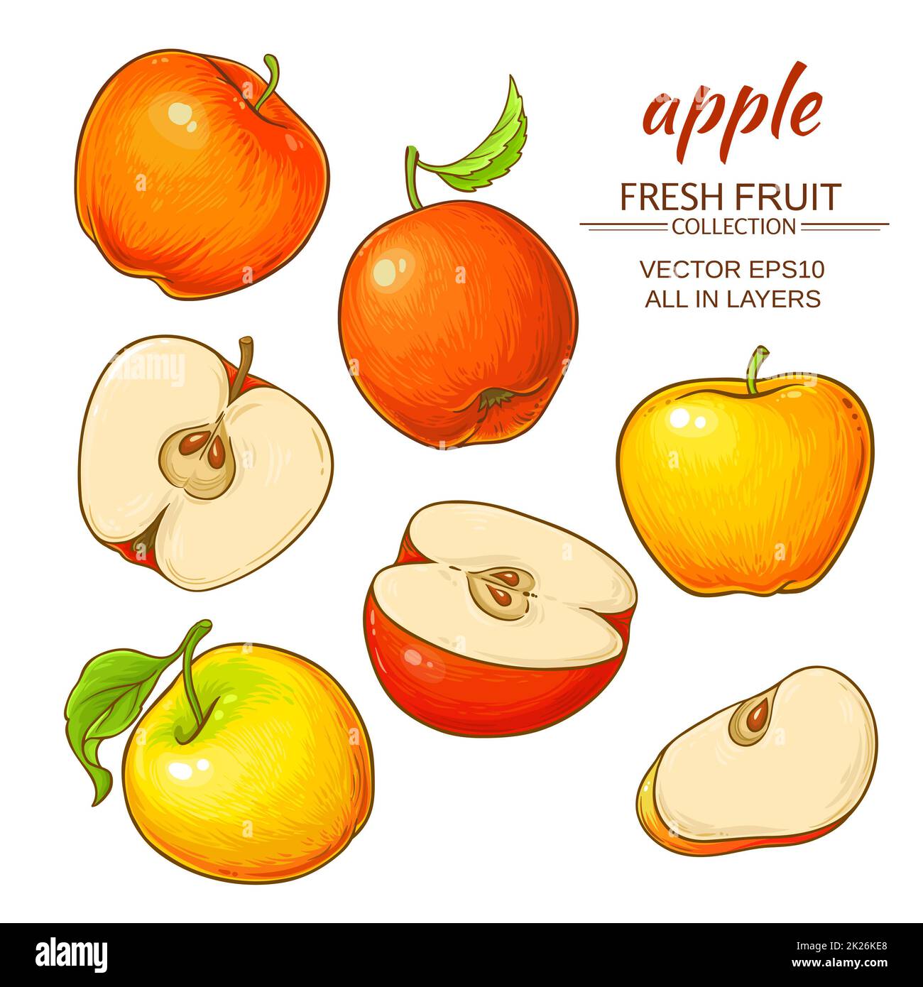 apple vector set Stock Photo - Alamy