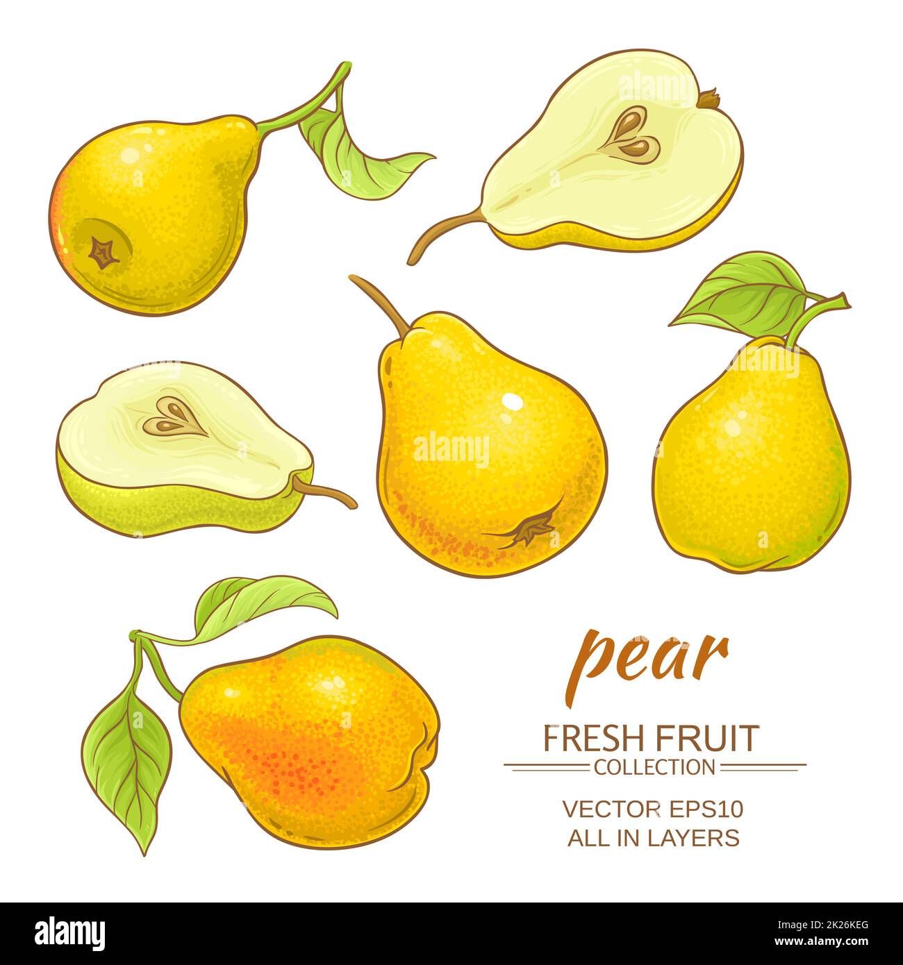 pear vector set Stock Photo - Alamy