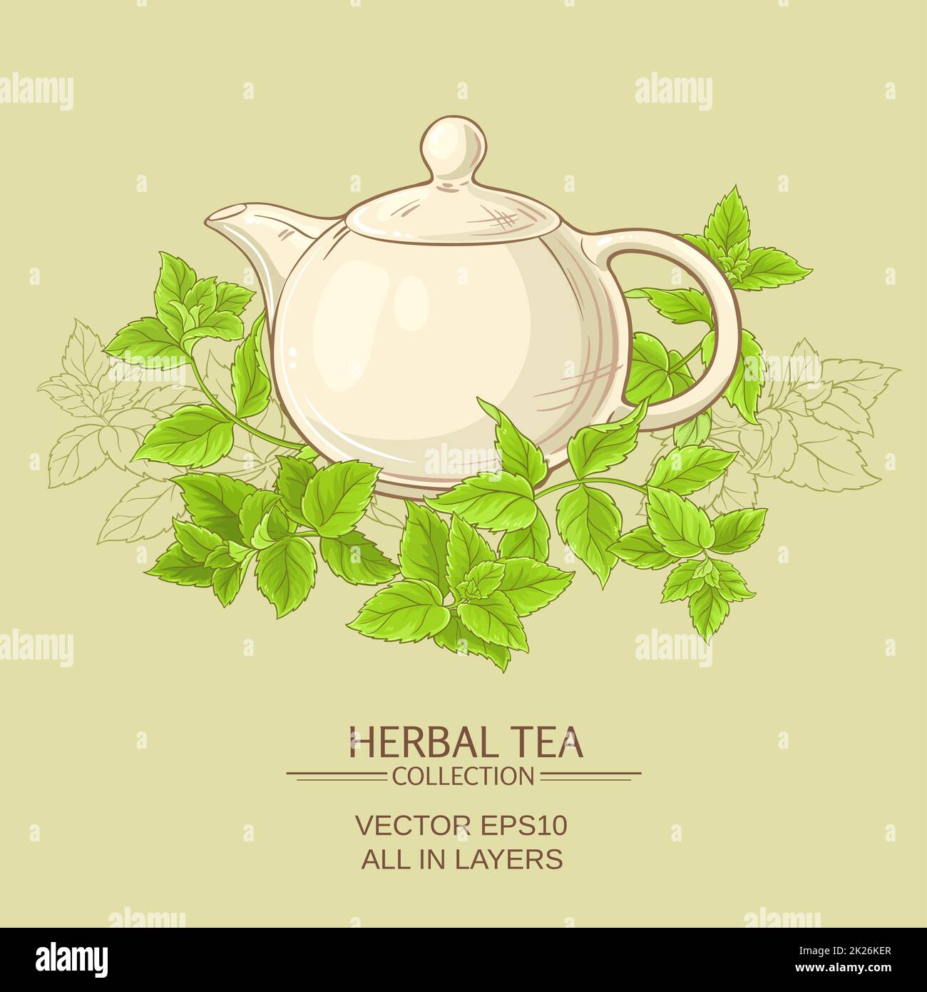 Peppermint design hi-res stock photography and images - Alamy