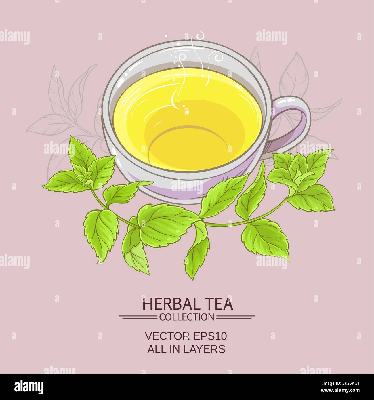 Cup peppermint tea hi-res stock photography and images - Alamy