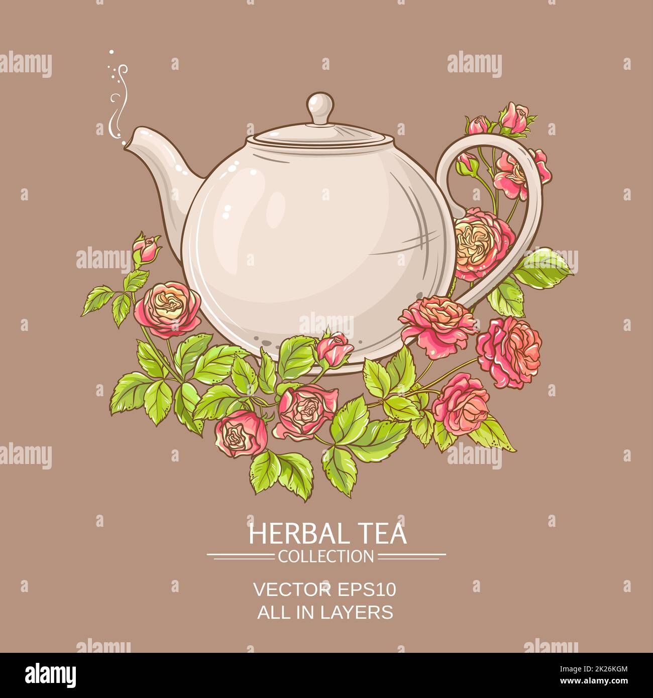 rose tea vector illustration Stock Photo - Alamy