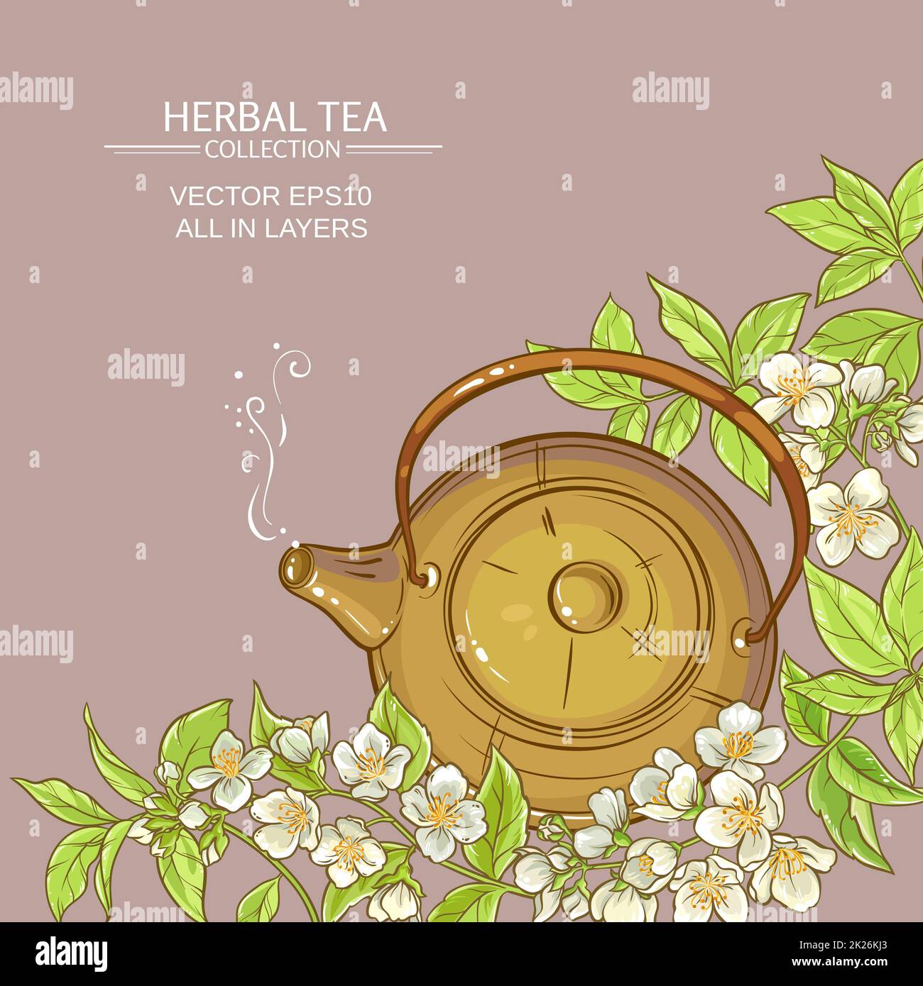 Jasmine illustration hi-res stock photography and images - Alamy